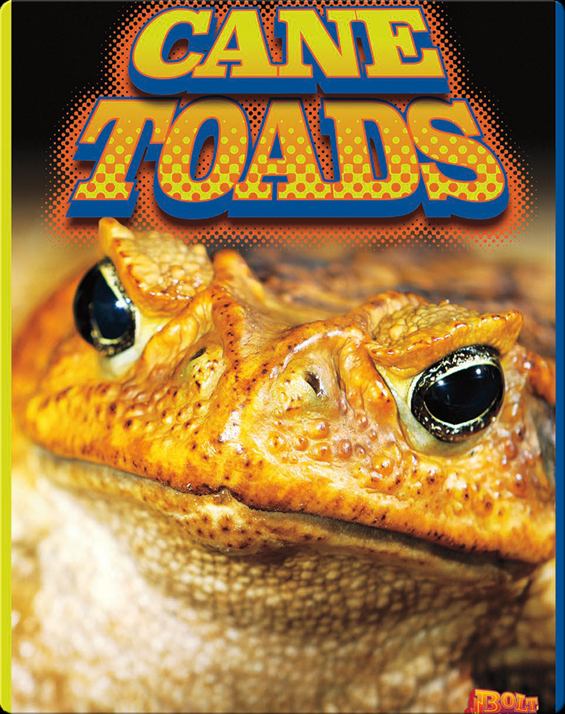 Cane Toads Book by Barbara Ciletti | Epic