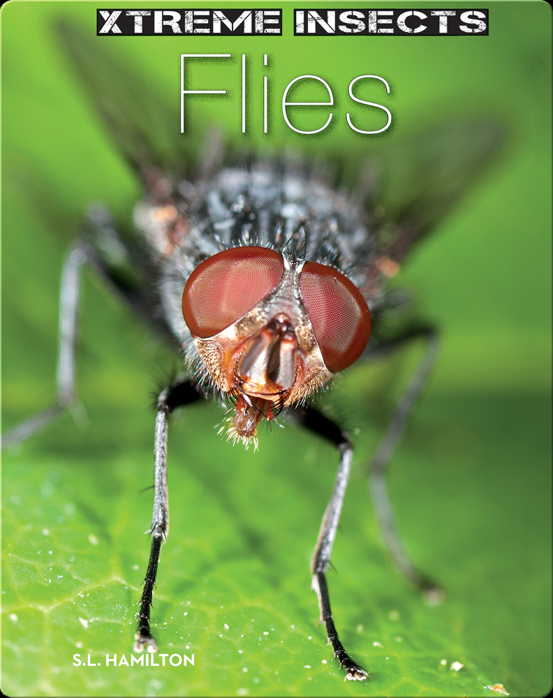Flies Book by S.L. Hamilton | Epic