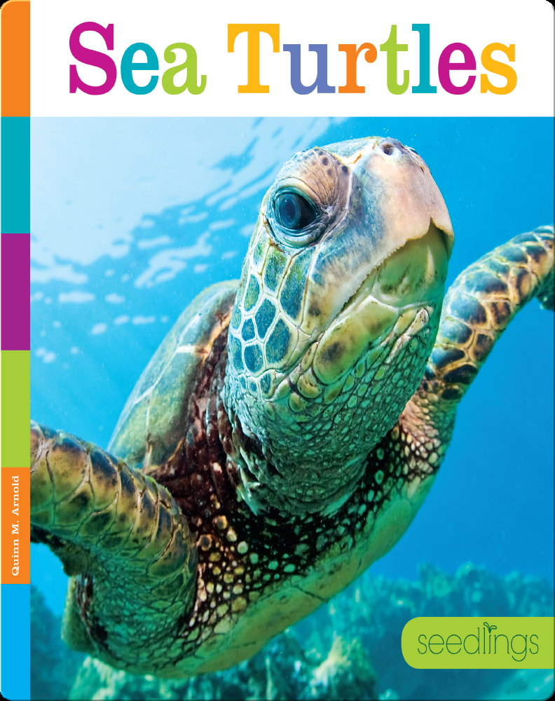 Sea Turtles Book by Quinn M. Arnold, Quinn A. Arnold | Epic