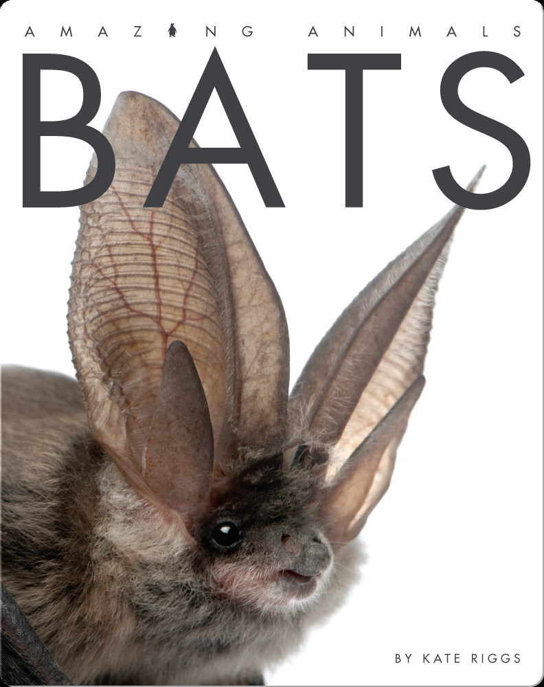 Bats Book by Kate Riggs | Epic