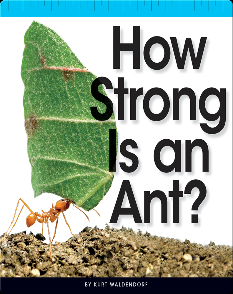 How Strong Is an Ant? Book by Kurt Waldendorf | Epic