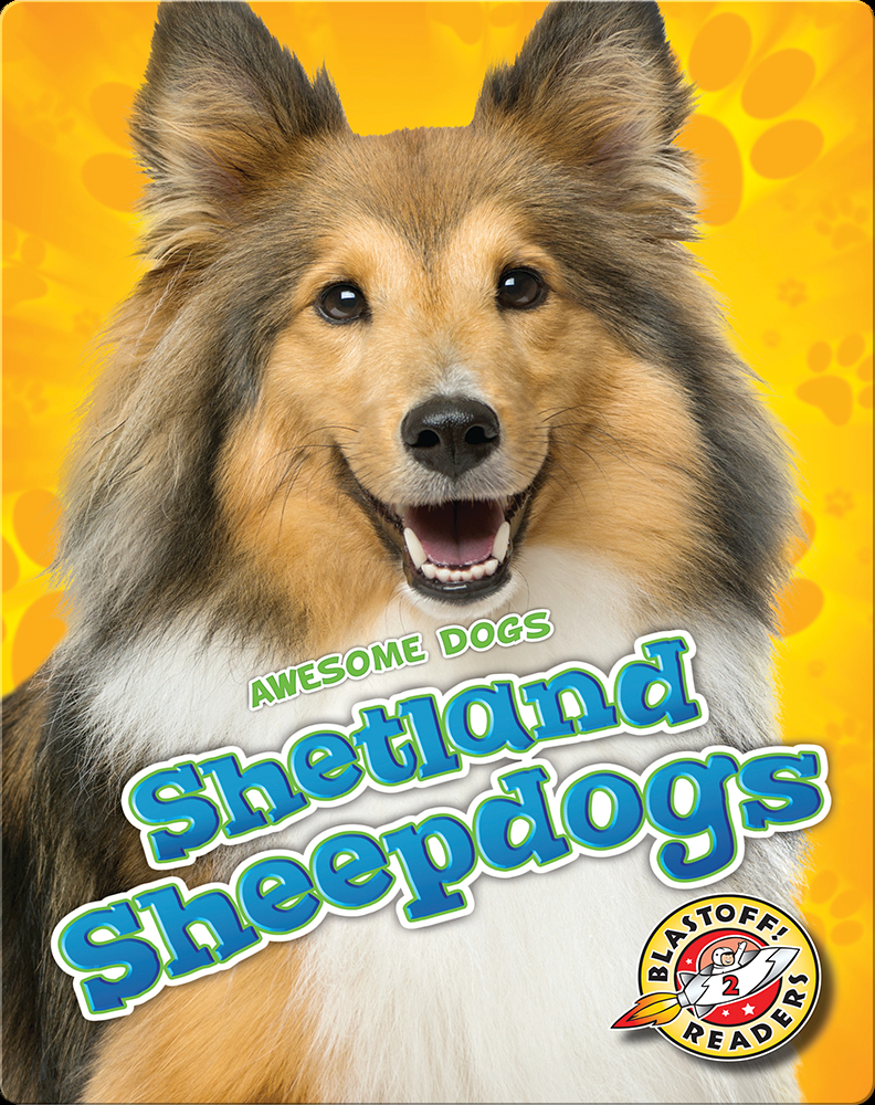 Awesome Dogs: Shetland Sheepdogs Book by Christina Leaf | Epic