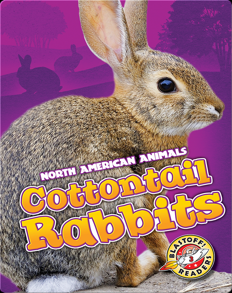 North American Animals: Cottontail Rabbits Book by Christina Leighton ...