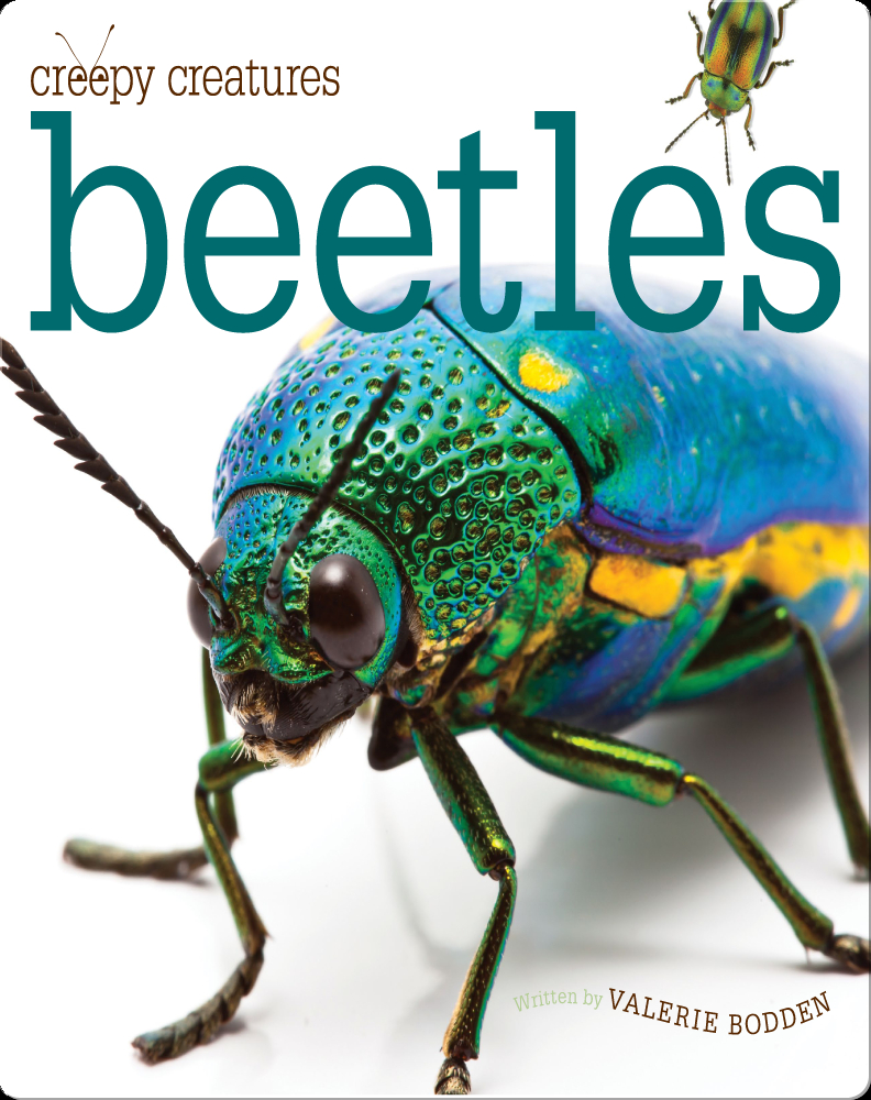 Beetles Book by Valerie Bodden | Epic