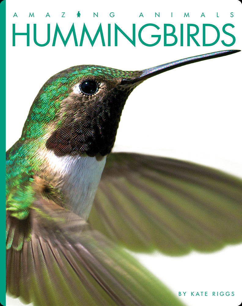 Hummingbirds Book by Kate Riggs | Epic