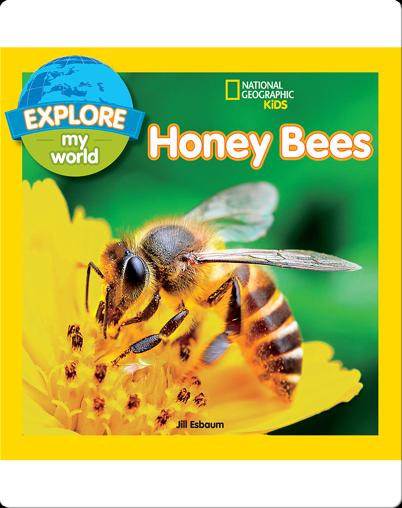 Explore My World Honey Bees Book by Jill Esbaum | Epic