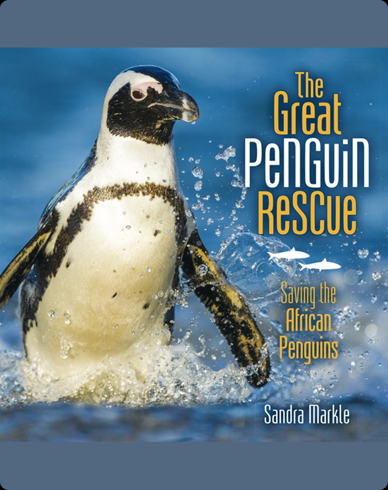 The Great Penguin Rescue: Saving the African Penguins Book by Sandra ...