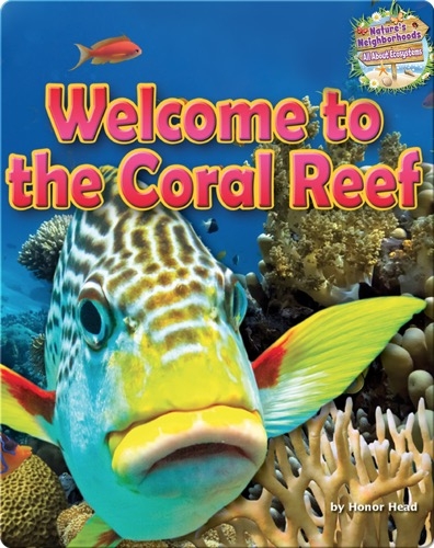 Coral Reef Children's Book Collection | Discover Epic Children's Books ...