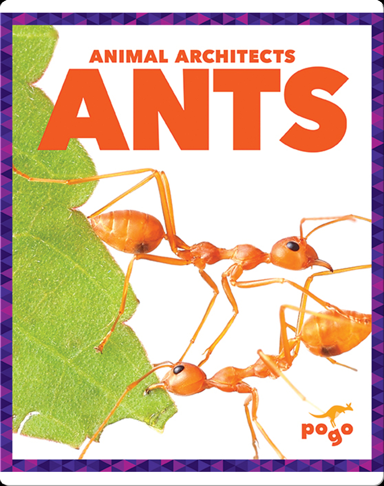 Ants Book by Karen Latchana Kenney | Epic