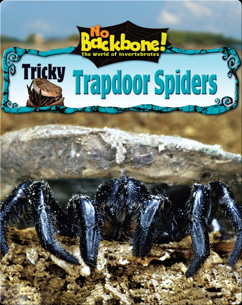 Tricky Trapdoor Spiders Book by Meish Goldish | Epic