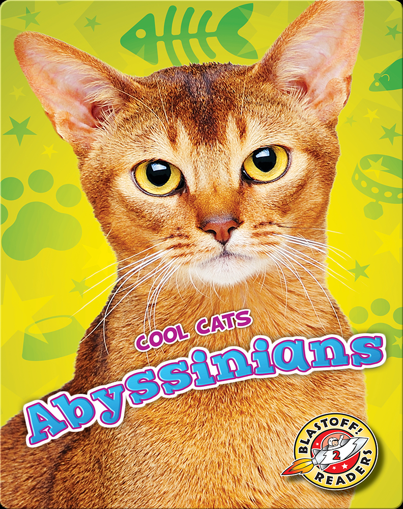 Abyssinians Book by Rebecca Felix | Epic
