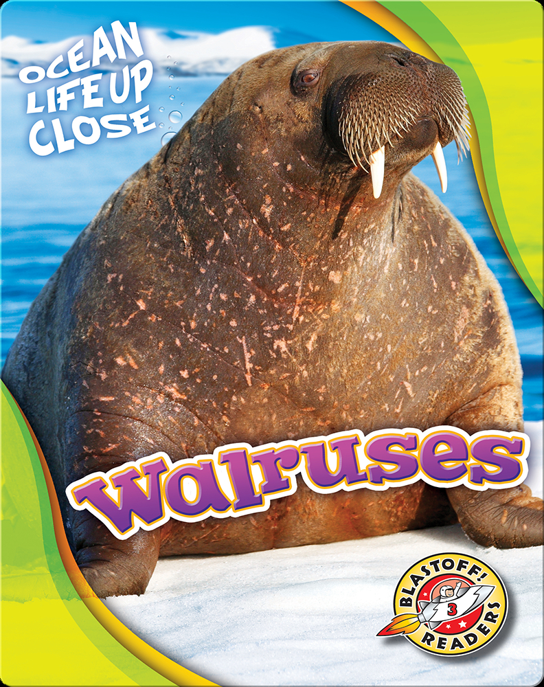 Walruses Book by Kari Schuetz | Epic