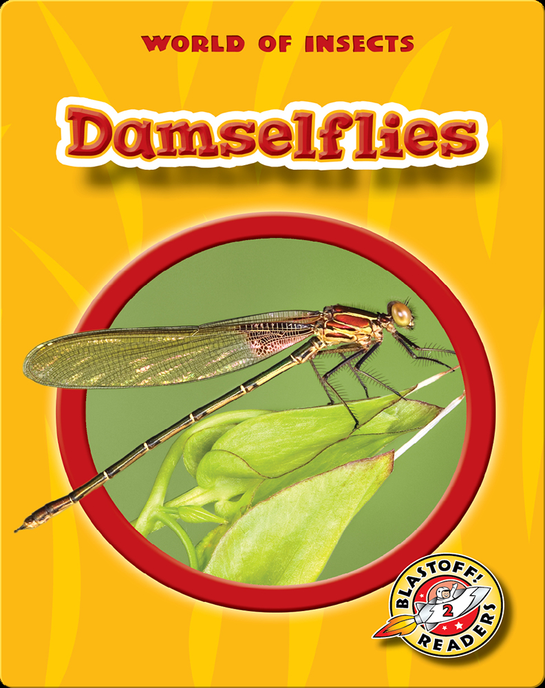 World of Insects: Damselflies Book by Colleen Sexton | Epic