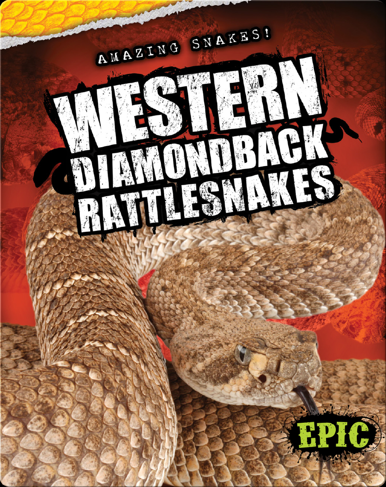 Western Diamondback Rattlesnakes Book by Chris Bowman | Epic