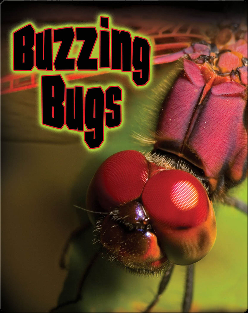 Buzzing Bugs Book by Tom Greve | Epic