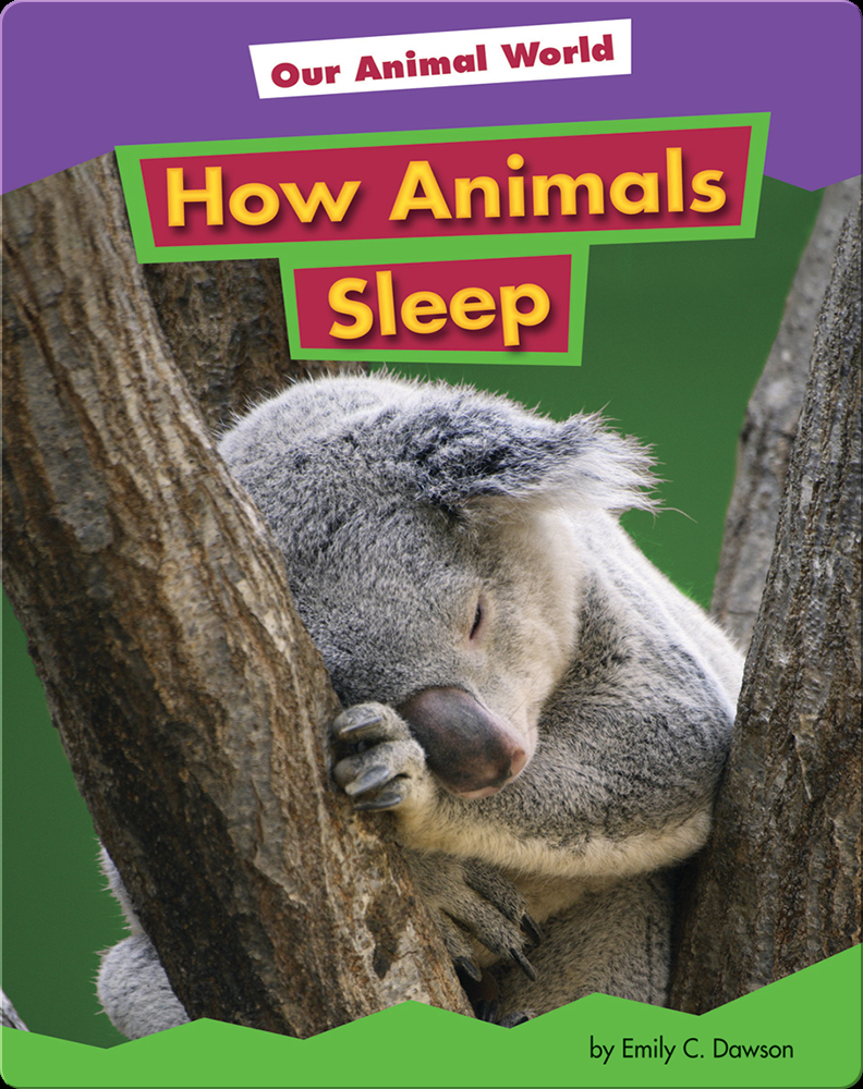 How Animals Sleep Book by Emily C. Dawson | Epic