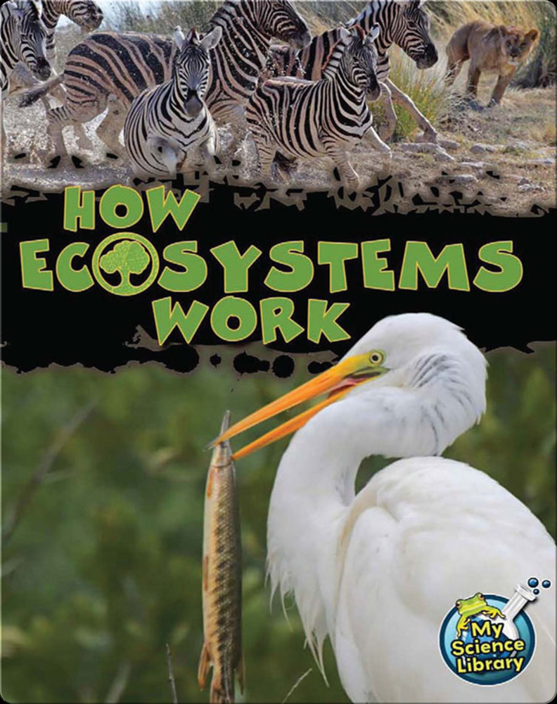How Ecosystems Work Book by Julie Lundgren | Epic