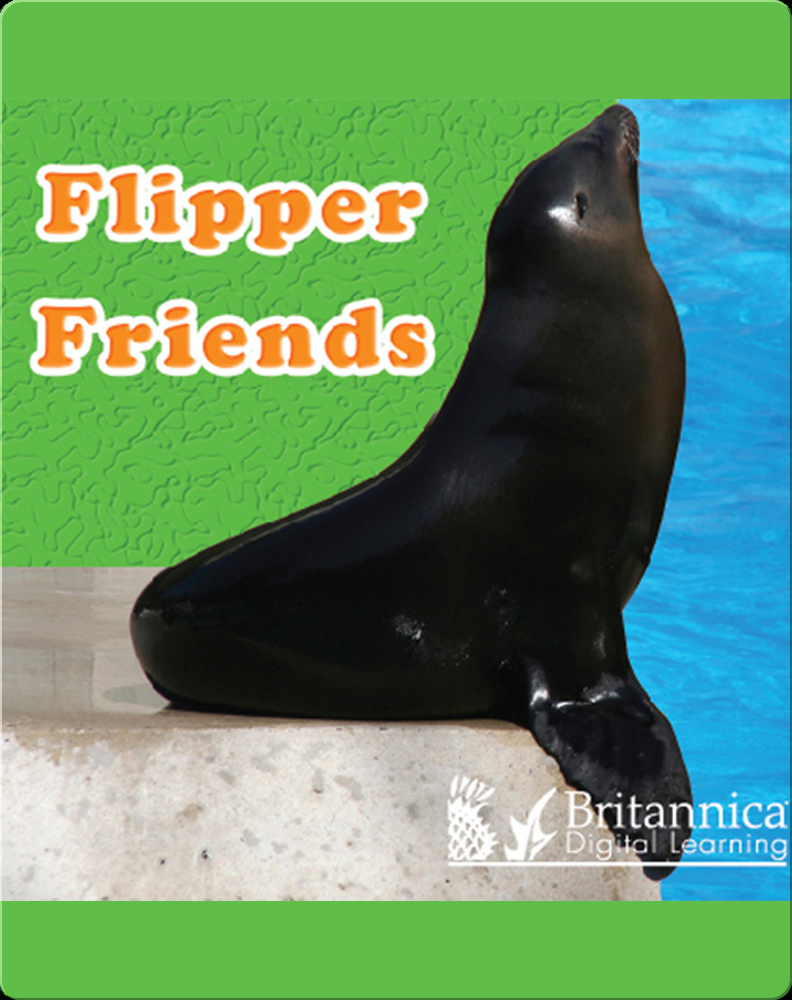 Flipper Friends Book by Cindy Rodriguez | Epic