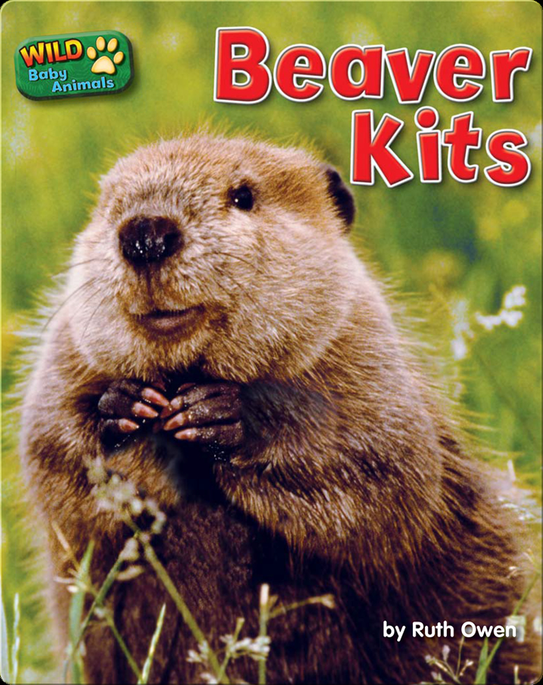 Beaver Kits Book by Ruth Owen | Epic