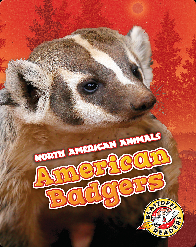 American Badgers Book by Rebecca Sabelko | Epic
