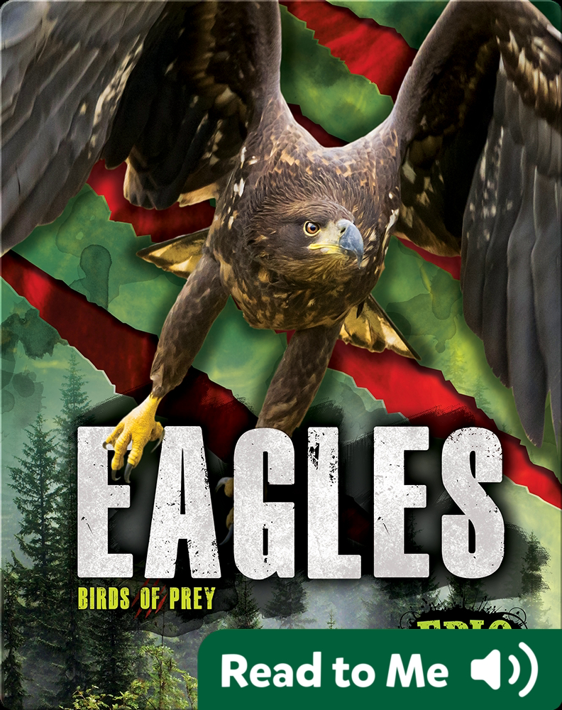 Eagles Book by Nathan Sommer | Epic