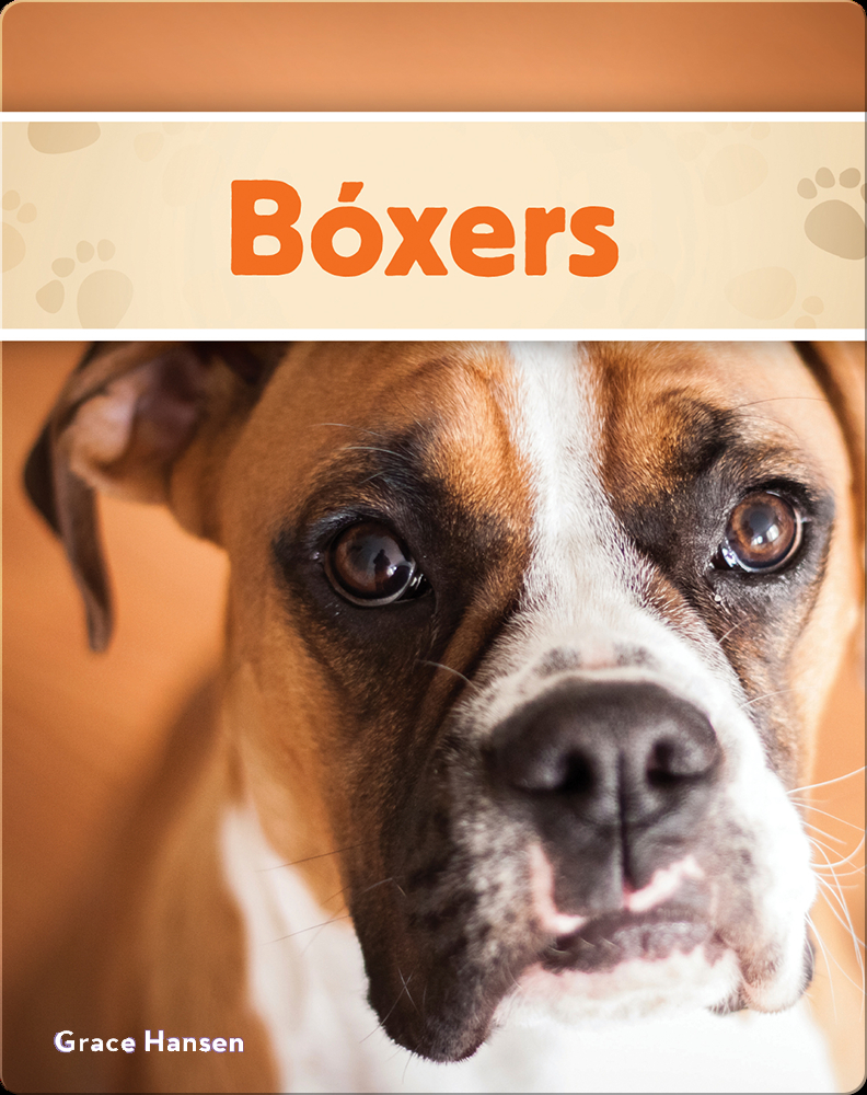 Bóxers Book by Grace Hansen | Epic