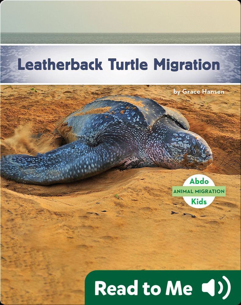 Leatherback Turtle Migration Book by Grace Hansen | Epic