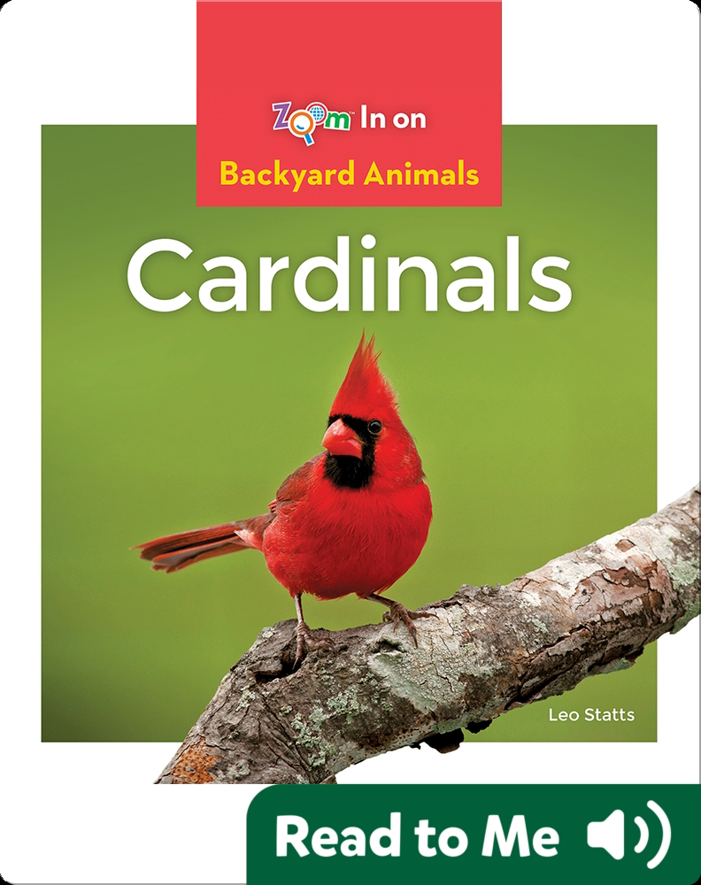 Cardinals Book by Leo Statts | Epic