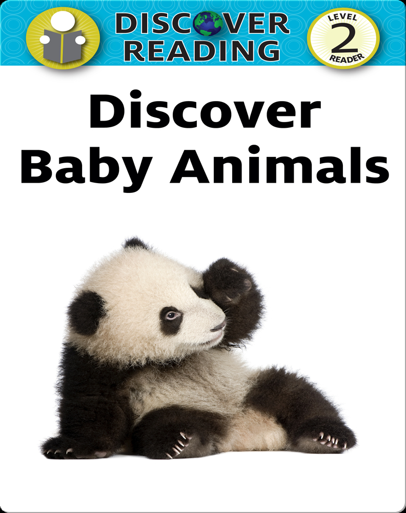 Discover Baby Animals Book by Xist Publishing | Epic