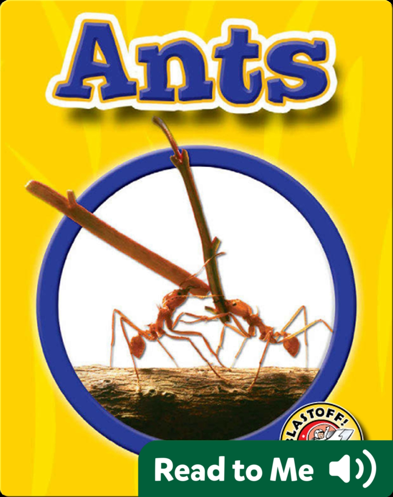 World of Insects: Ants Book by Emily K. Green | Epic