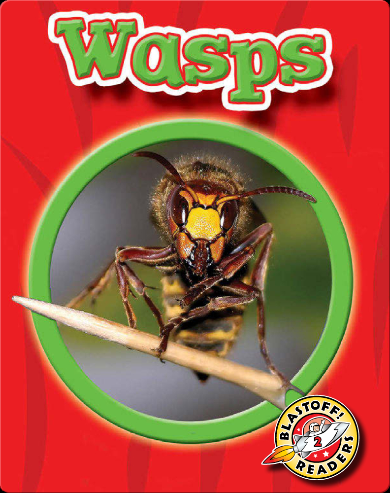 World of Insects: Wasps Book by Martha Rustad | Epic