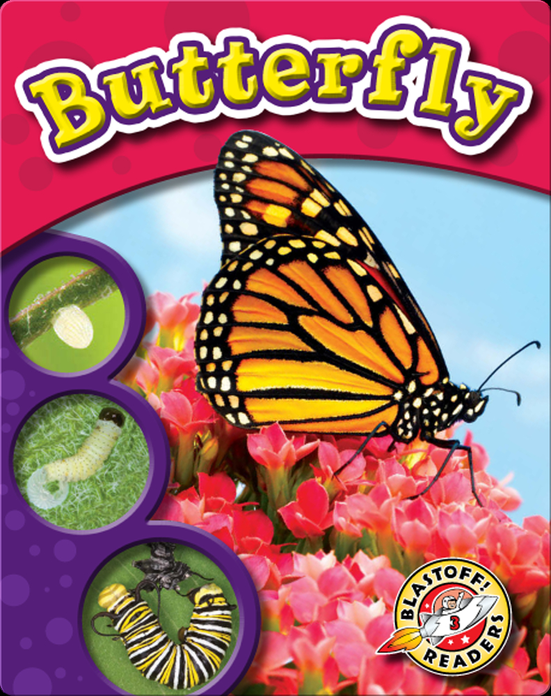 The Life Cycle of a Butterfly Book by Colleen Sexton | Epic