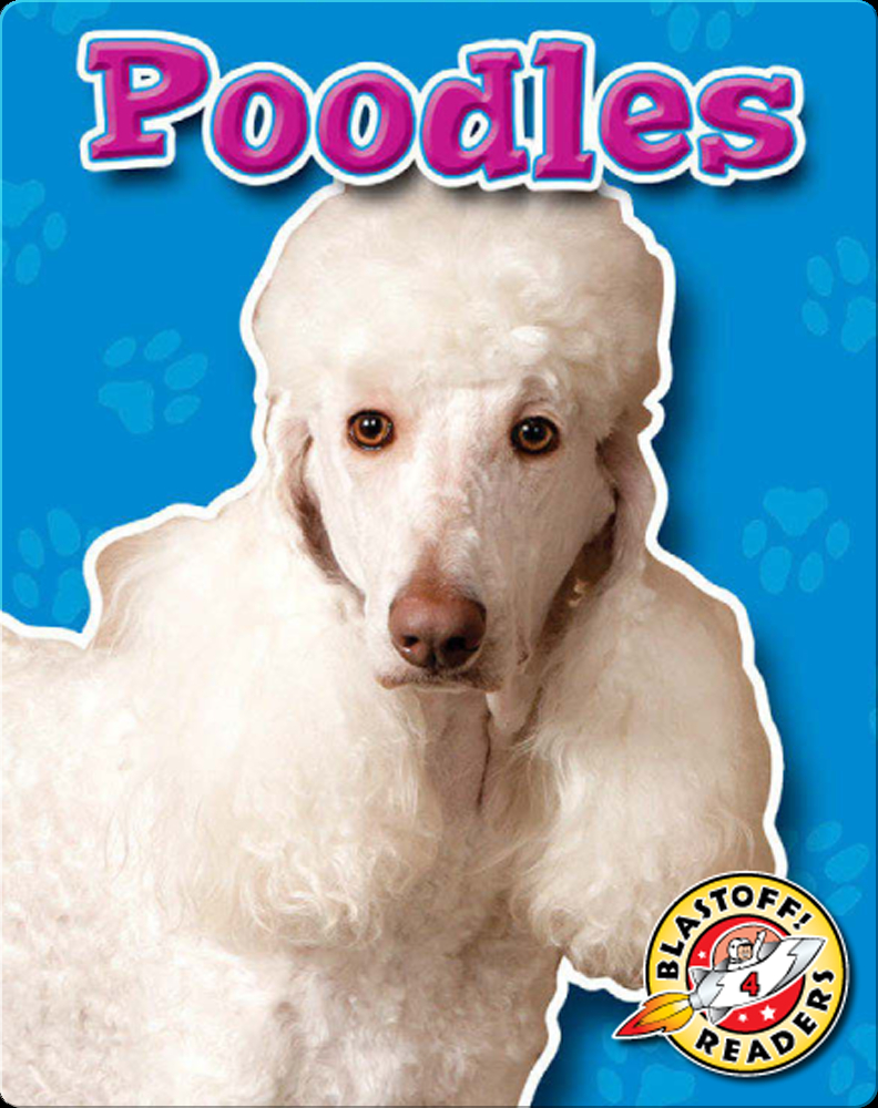 Poodles: Dog Breeds Book by Mari Schuh | Epic