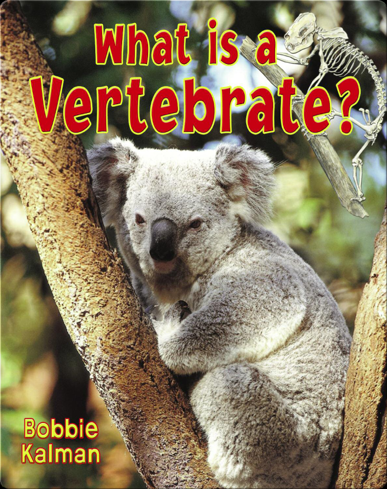 What is a Vertebrate? Book by Bobbie Kalman | Epic