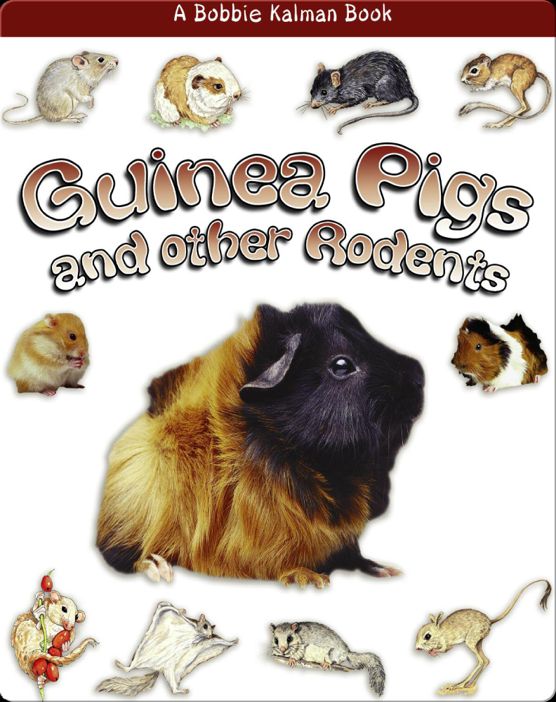 Guinea pigs and other Rodents Book by Bobbie Kalman, Reagan Miller | Epic