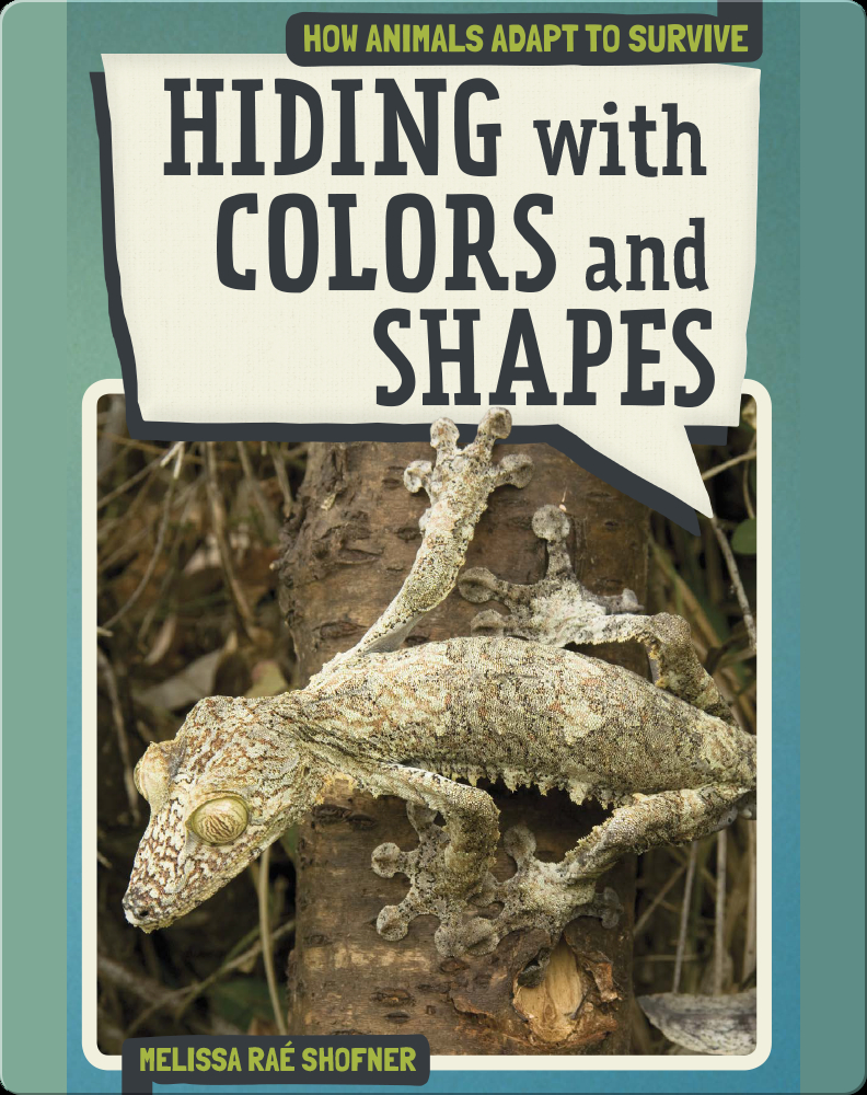 Hiding with Colors and Shapes Book by Melissa Raé Shofner | Epic