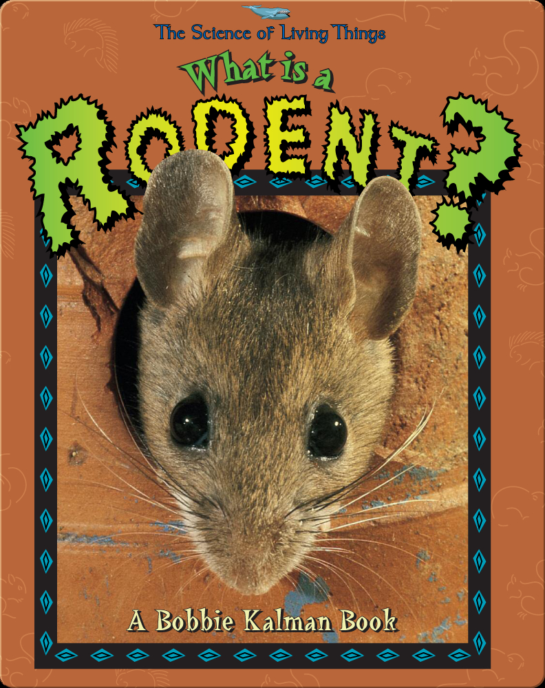 What is a Rodent? Book by Bobbie Kalman, Jacqueline Langille | Epic