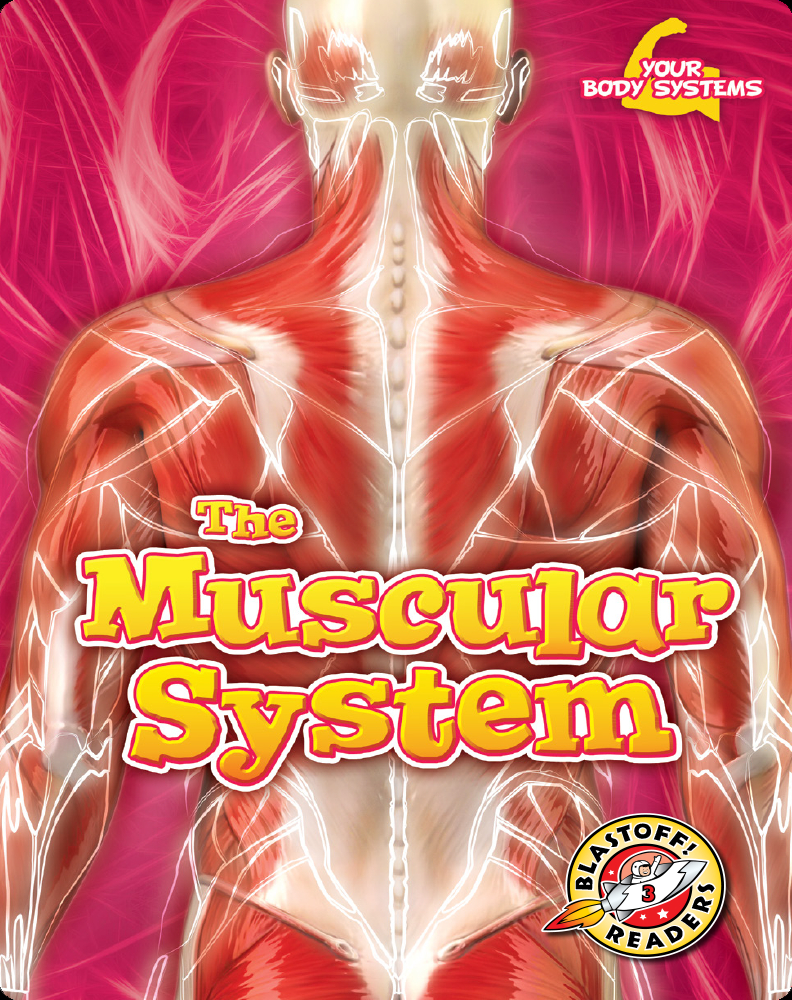 The Muscular System Book by Rebecca Pettiford | Epic