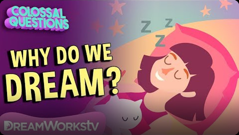 Why Do We Dream? | COLOSSAL QUESTIONS Video | Discover Fun and ...