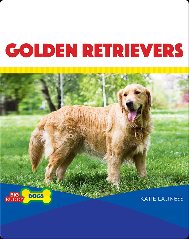 Golden Retrievers Book by Katie Lajiness | Epic