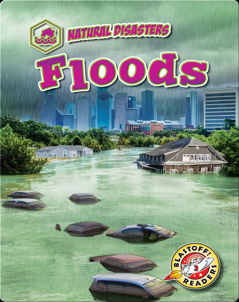 Natural Disasters: Floods Book by Rebecca Pettiford | Epic