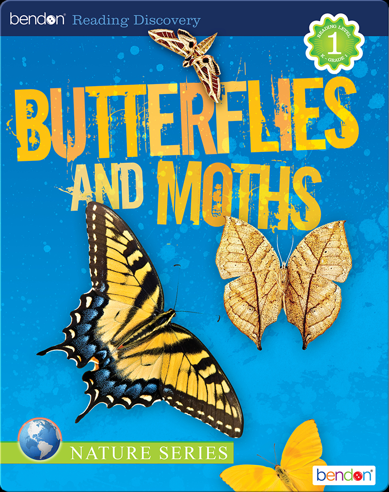 Butterflies and Moths Book by Kathryn Knight | Epic