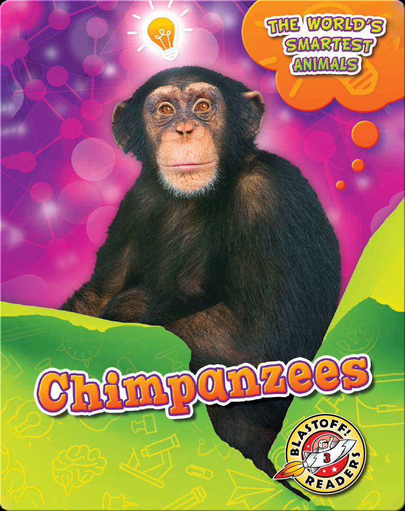 The World's Smartest Animals: Chimpanzees Book by Joanne Mattern | Epic