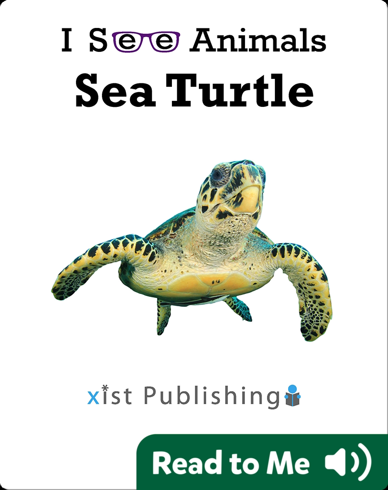 I See Animals: Sea Turtle Book by August Hoeft | Epic