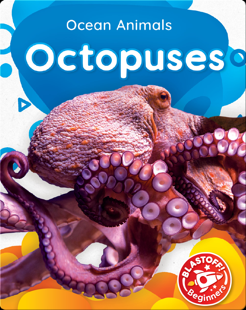 Ocean Animals: Octopuses Book by Derek Zobel | Epic