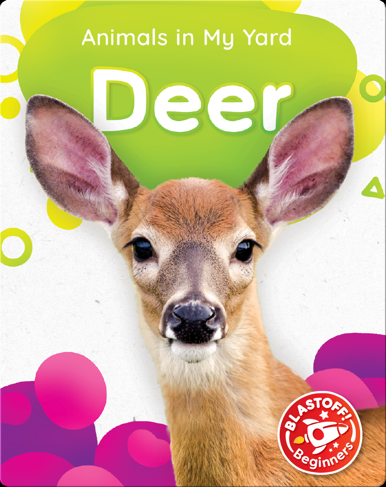 Animals in My Yard: Deer Book by Amy McDonald | Epic