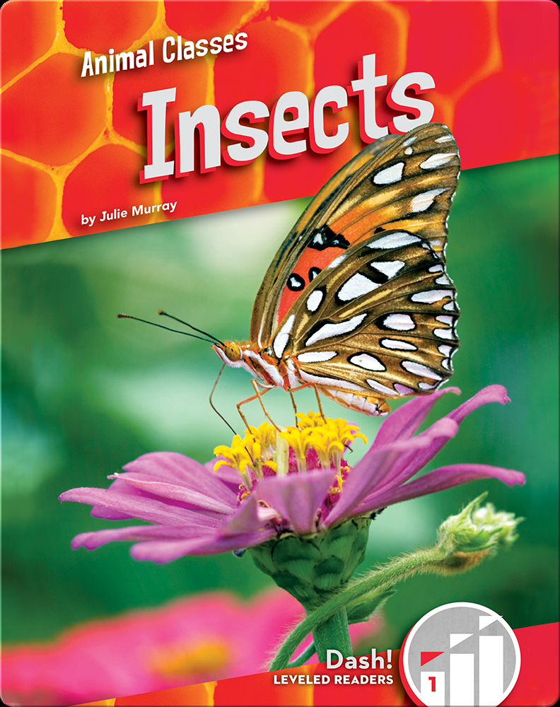 Animal Classes: Insects Book by Julie Murray | Epic