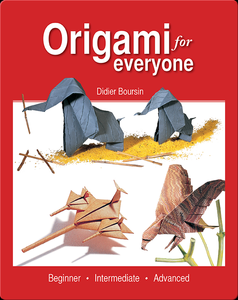 Origami for Everyone Book by Didier Boursin | Epic