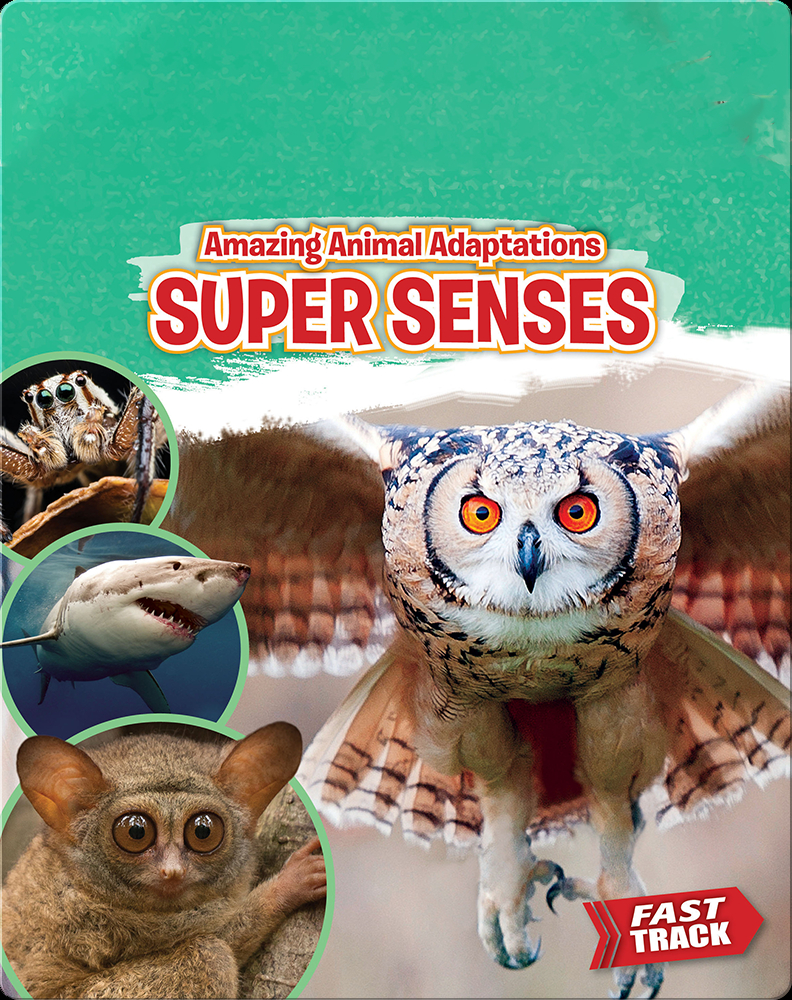 Amazing Animal Adaptations: Super Senses Book by Nancy Dickmann | Epic