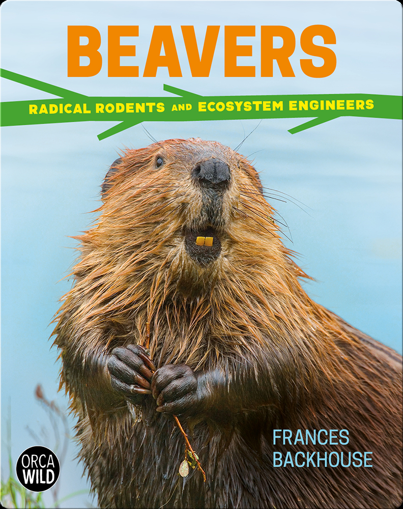 Beavers: Radical Rodents and Ecosystem Engineers Book by Frances ...